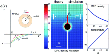Thermophoretic forces on a mesoscopic scale - Soft Matter (RSC Publishing)