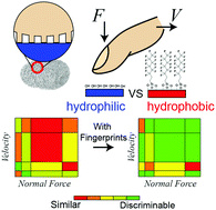 Role of fingerprint-inspired relief structures in elastomeric slabs for ...
