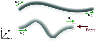 Elastic behavior of a semiflexible polymer in 3D subject to compression ...