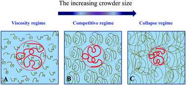 Understanding chain looping kinetics in polymer solutions: crowding ...