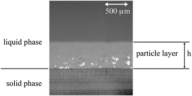 Wall friction and Janssen effect in the solidification of suspensions ...