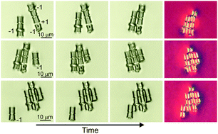 Geometric stabilisation of topological defects on micro-helices and ...