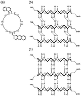 Two one-dimensional arrays of naphthyl and anthryl groups along peptide ...