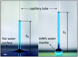 A capillary rise method for studying the effective surface tension of ...