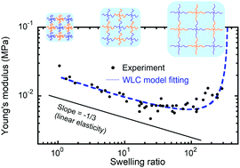 Network elasticity of a model hydrogel as a function of swelling ratio ...