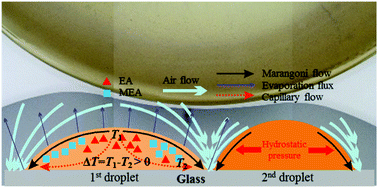 Capillary force induced air film for self-aligned short channel ...