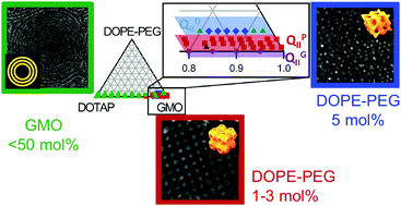 The stabilization of primitive bicontinuous cubic phases with tunable ...