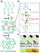 Hydrogen bonding-based strongly adhesive coacervate hydrogels ...
