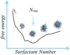 Optimal aggregation number of reverse micelles in supercritical carbon ...