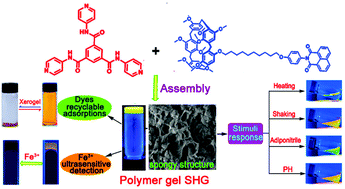 Pillar[5]arene-based spongy supramolecular polymer gel and its properties in multi ...