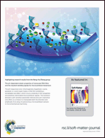 Inside back cover - Soft Matter (RSC Publishing)