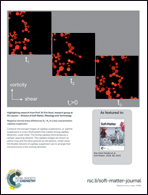 Inside back cover - Soft Matter (RSC Publishing)