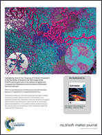 Inside back cover - Soft Matter (RSC Publishing)