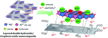 Synergetic co-immobilization of SeO42− and Sr2+ from aqueous solution ...