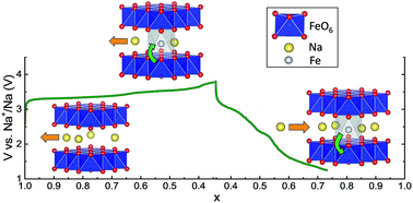 On the dynamics of transition metal migration and its impact on the ...