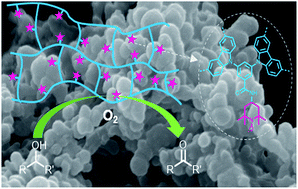 Nitroxyl radical based conjugated microporous polymers as heterogeneous ...