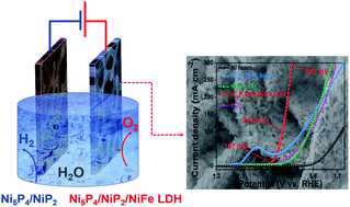 Amorphous NiFe layered double hydroxide nanosheets decorated on 3D nickel phosphide nanoarrays ...