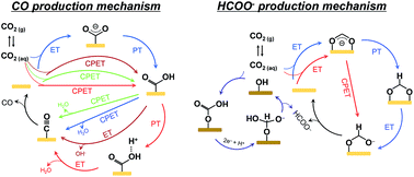 New challenges of electrokinetic studies in investigating the reaction ...