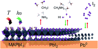 Photodecomposition and thermal decomposition in methylammonium halide ...