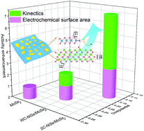 Promoting the water reduction reaction of transition metal ...