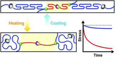 Dynamic reversible bonds enable external stress-free two-way shape ...