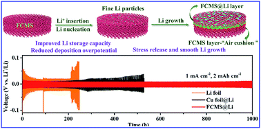 Favorable lithium deposition behaviors on flexible carbon microtube ...