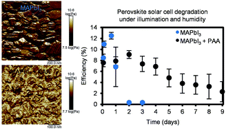 Structure and chemical stability in perovskite–polymer hybrid ...