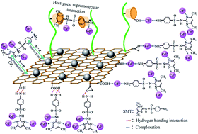 Fabrication of poly(β-cyclodextrin)-conjugated magnetic graphene oxide ...