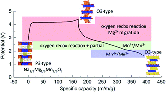 A novel P3-type Na2/3Mg1/3Mn2/3O2 as high capacity sodium-ion cathode ...