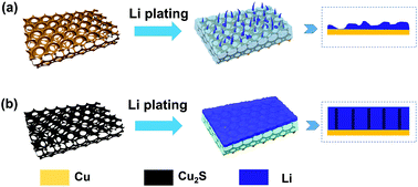 Realizing stable lithium deposition by in situ grown Cu2S nanowires ...