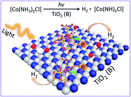 Enhancement of photocatalytic H2 production by metal complex ...
