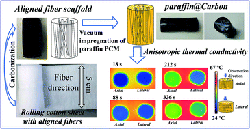 Vertically aligned carbon fibers as supporting scaffolds for phase ...