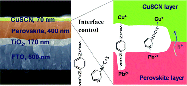 Enhancement of open circuit voltage for CuSCN-based perovskite solar ...