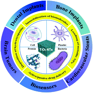Progress in TiO2 nanotube coatings for biomedical applications: a ...