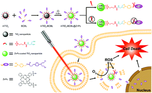 Near infrared light triggered reactive oxygen species responsive ...