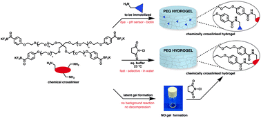 Covalently functionalized amide cross-linked hydrogels from primary ...