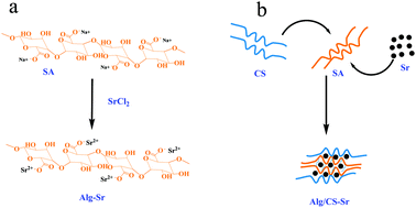 In situ fabrication of a composite hydrogel with tunable mechanical ...