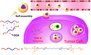 A biodegradable polyphosphoester-functionalized poly(disulfide ...