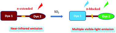 Construction of a novel near-infrared fluorescent probe with multiple ...
