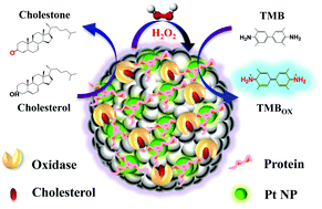 A one-pot and modular self-assembly strategy for high-performance ...