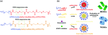 The feasibility of ROS- and GSH-responsive micelles for treating tumor ...