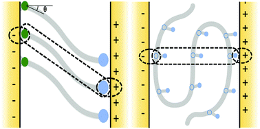 Energy level alignment of dipolar interface layer in organic and hybrid ...