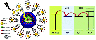 Enhanced NIR-I emission from water-dispersible NIR-II dye-sensitized ...