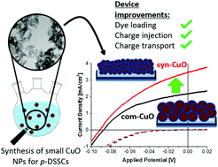 Improving charge injection and charge transport in CuO-based p-type ...