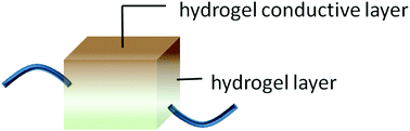 Highly stretchable and fatigue resistant hydrogels with low Young's ...
