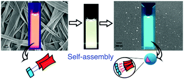 Exploration of dynamic self-assembly mediated nanoparticle formation ...