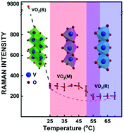 Phase transition induced Raman enhancement on vanadium dioxide (VO2 ...