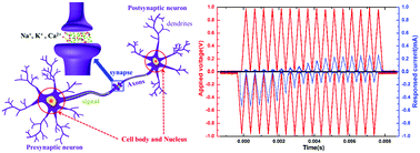 An electronic synapse memristor device with conductance linearity using ...