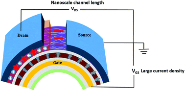 Flexible ultra-short channel organic ferroelectric non-volatile memory ...