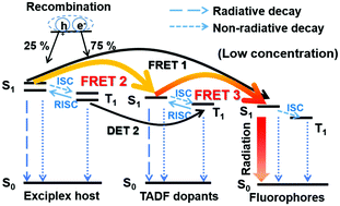 Triplet exciton harvesting by multi-process energy transfer in ...